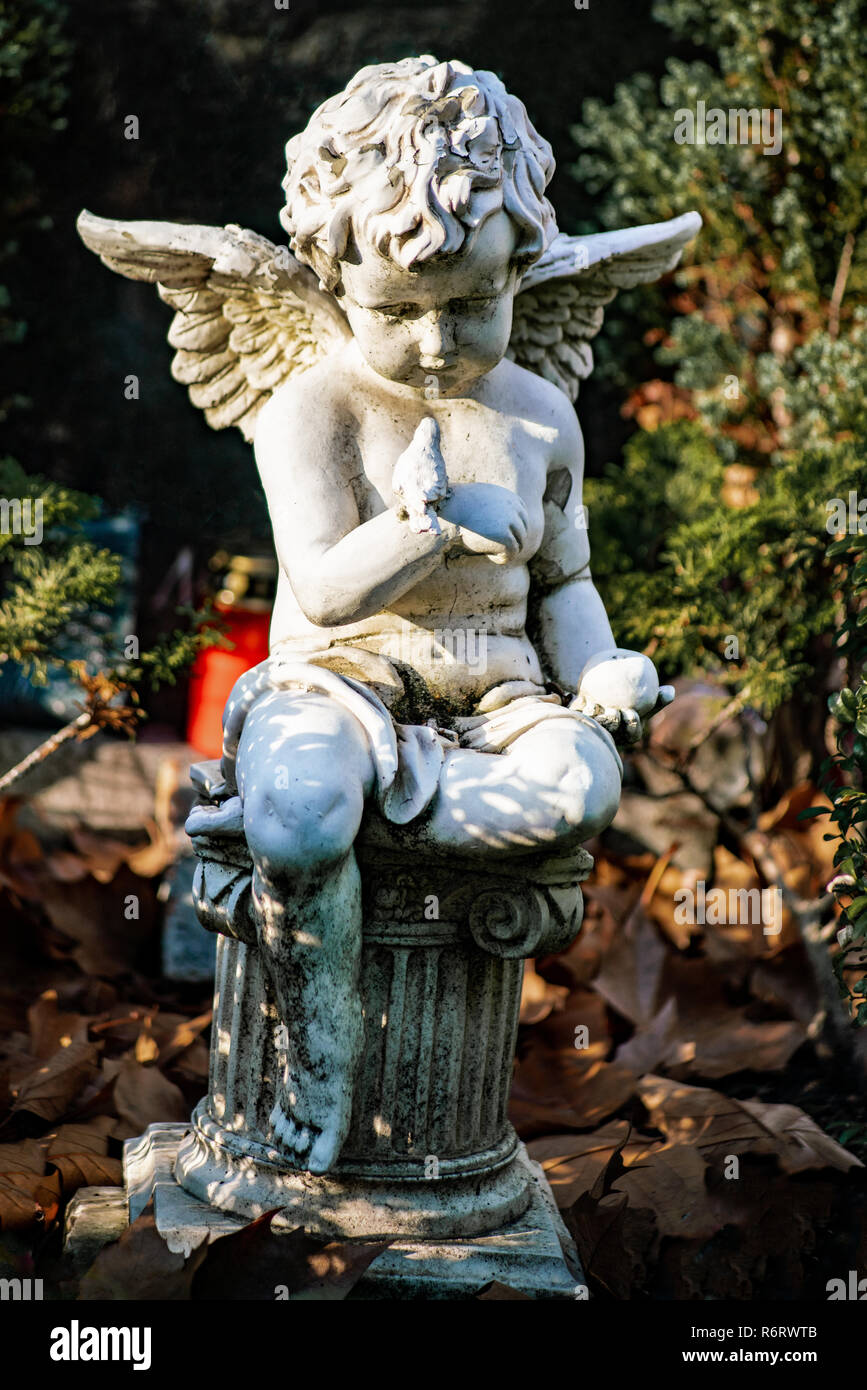 Cemetery angel sculpture hi-res stock photography and images - Alamy