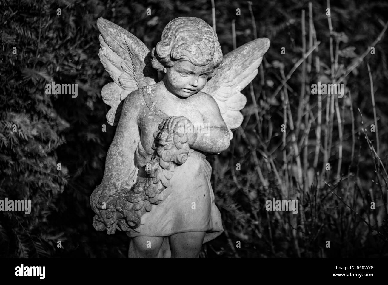 Statue of an angel on german cemetery in Berlin Tegel Stock Photo - Alamy