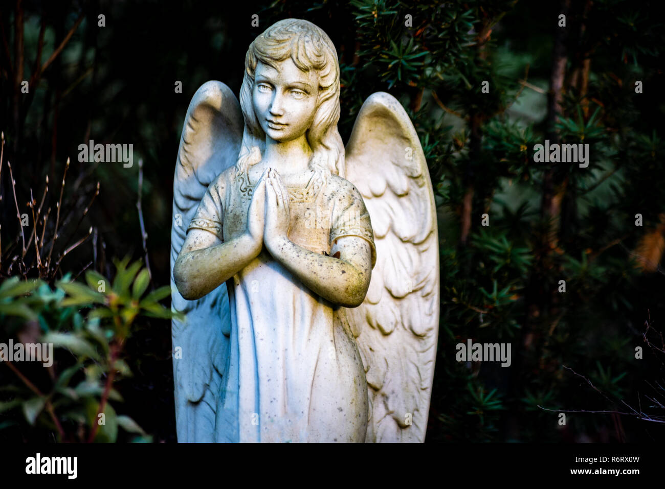 Statue of an angel on german cemetery in Berlin Tegel Stock Photo - Alamy