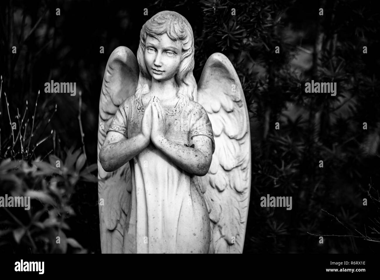 Weathered statue of an angel on german cemetery in Berlin Hermsdorf ...