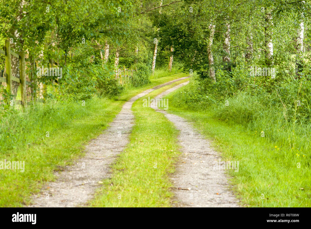 idyllic field path Stock Photo - Alamy