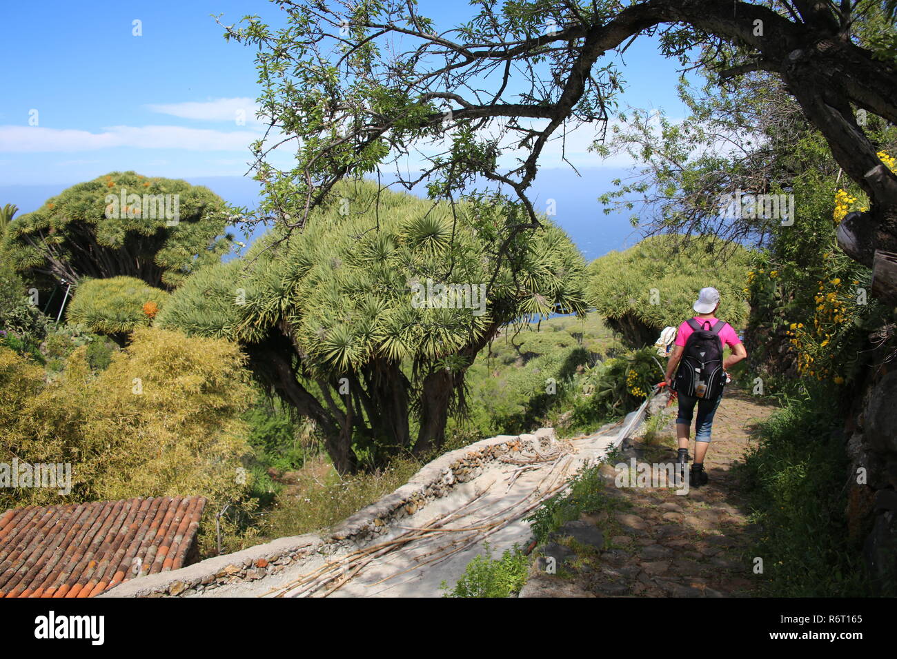 hike from las tricias to santo domingo de garafÃ­a Stock Photo - Alamy