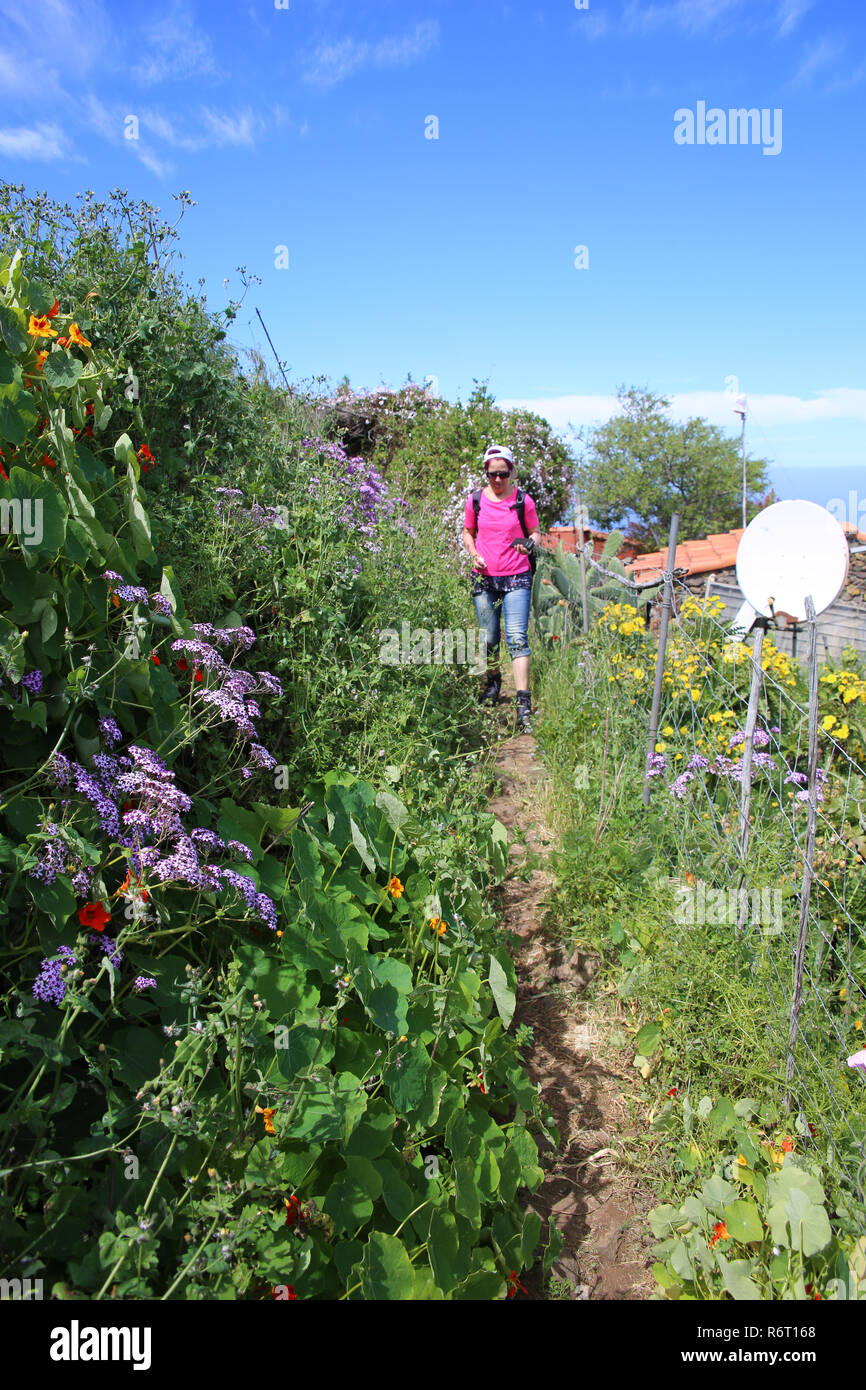 hike from las tricias to santo domingo de garafÃ­a Stock Photo - Alamy