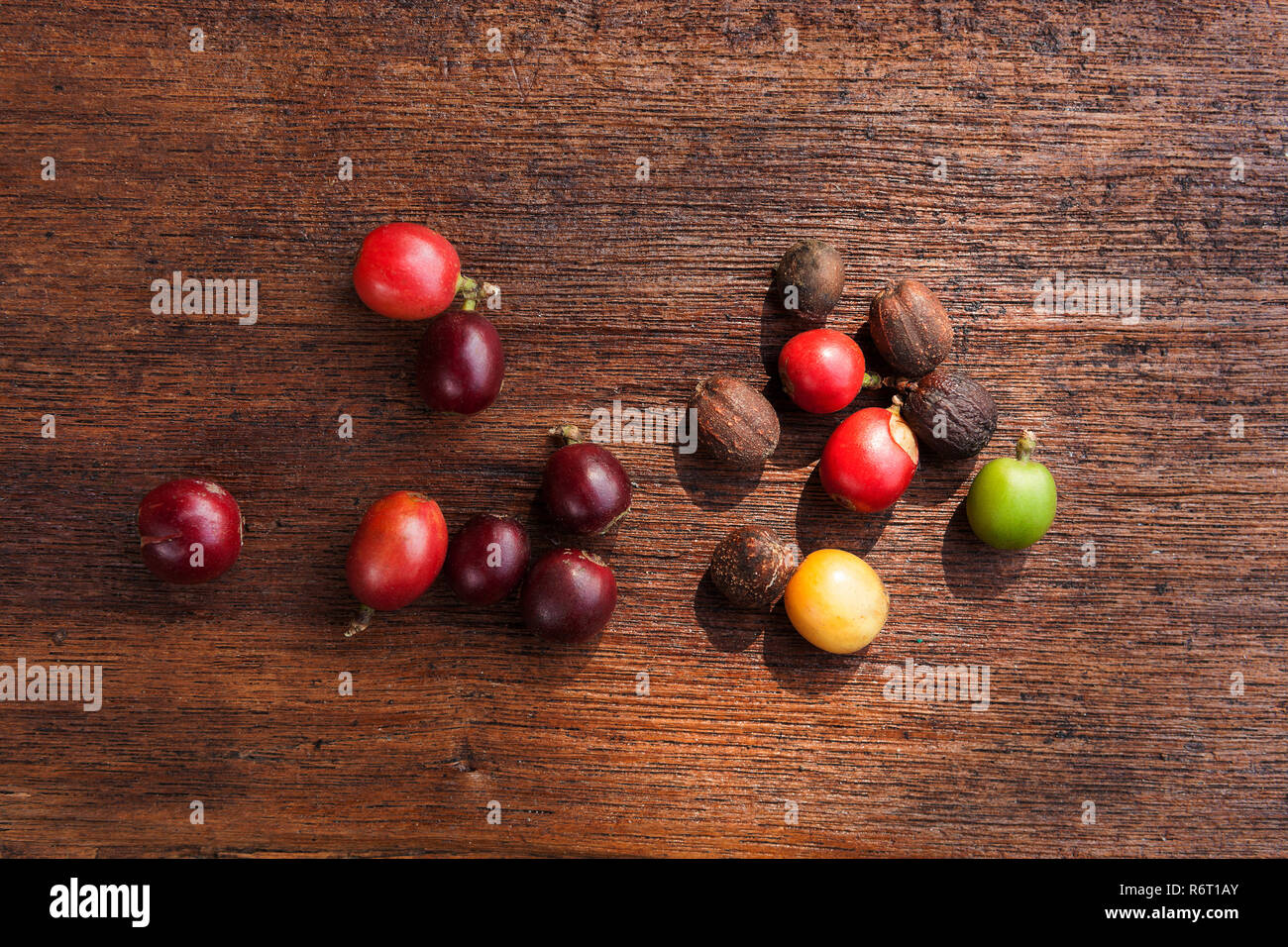 Types of cherries hi-res stock photography and images - Alamy