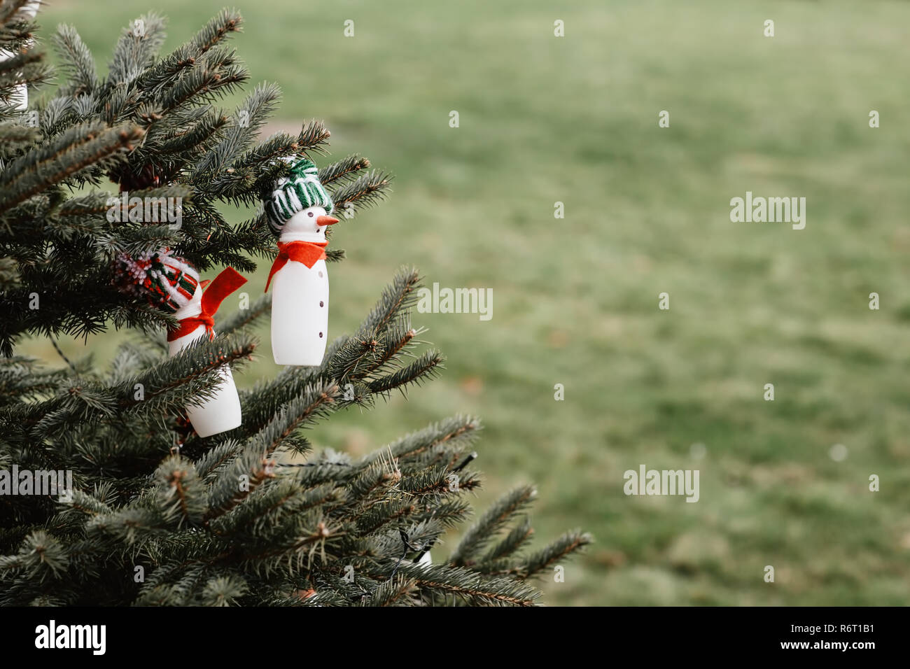 Plastic jar craft tree hi-res stock photography and images - Alamy