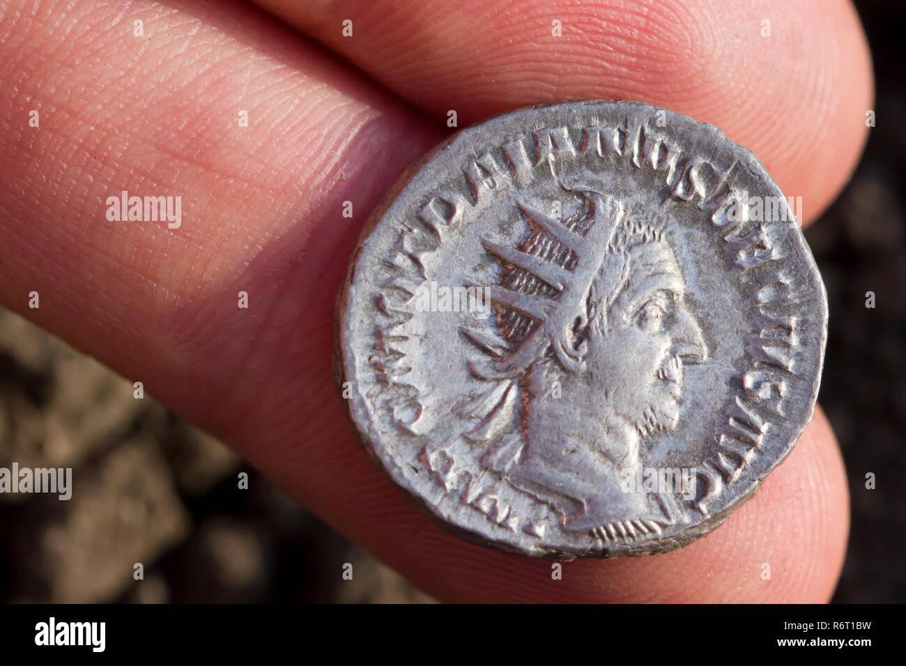 Hand holding Roman denarius (Roman silver coin Stock Photo - Alamy