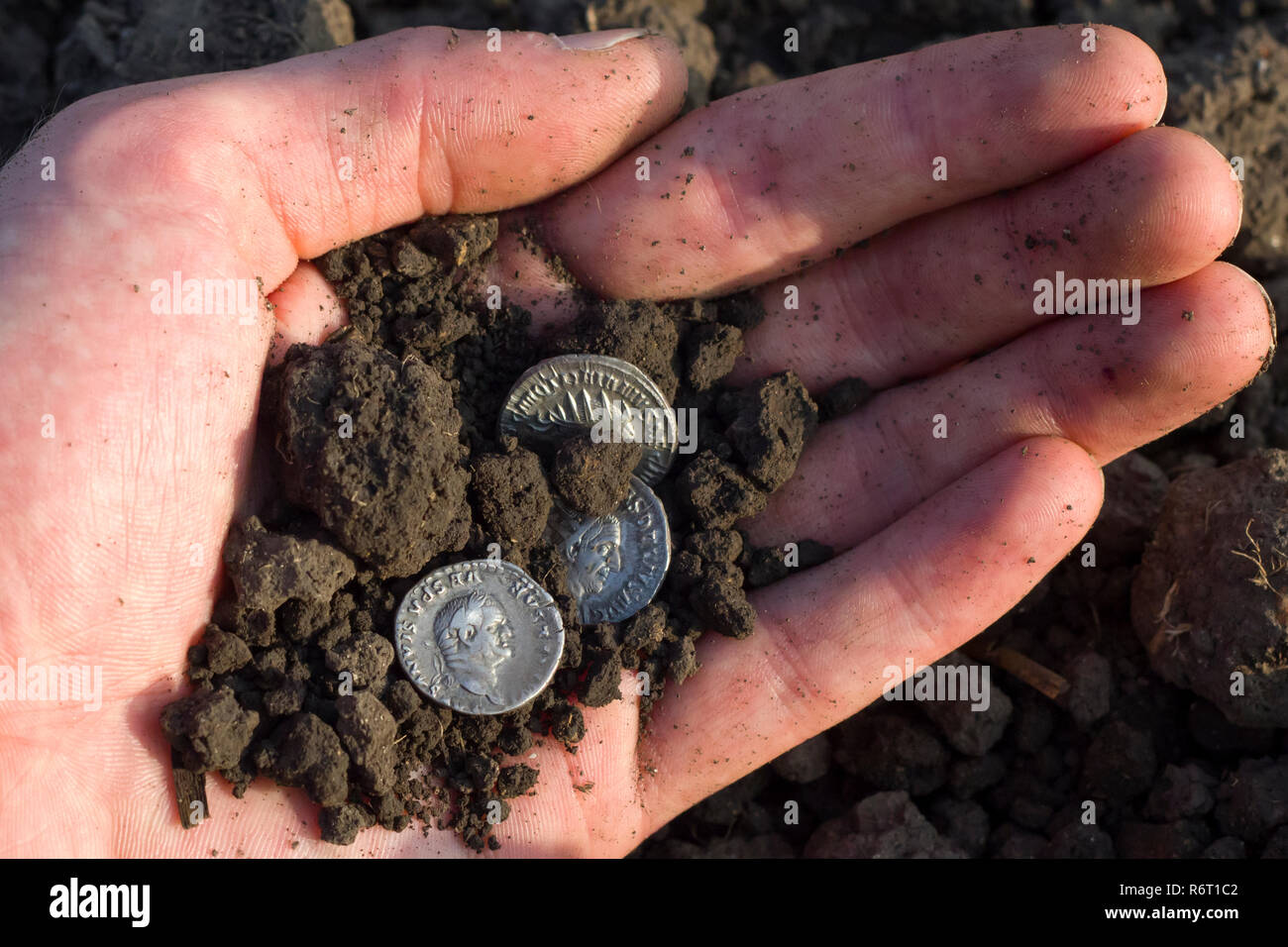 Hand holding Roman denarius (Roman silver coin Stock Photo - Alamy