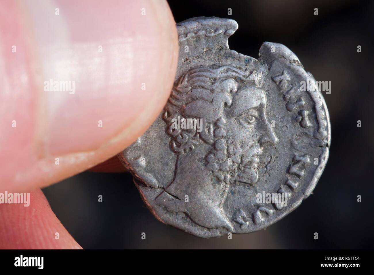 Hand holding Roman denarius (Roman silver coin Stock Photo - Alamy