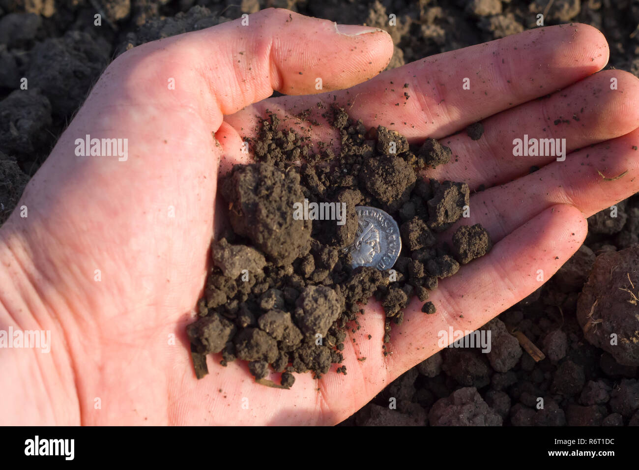 Hand holding Roman denarius (Roman silver coin Stock Photo - Alamy