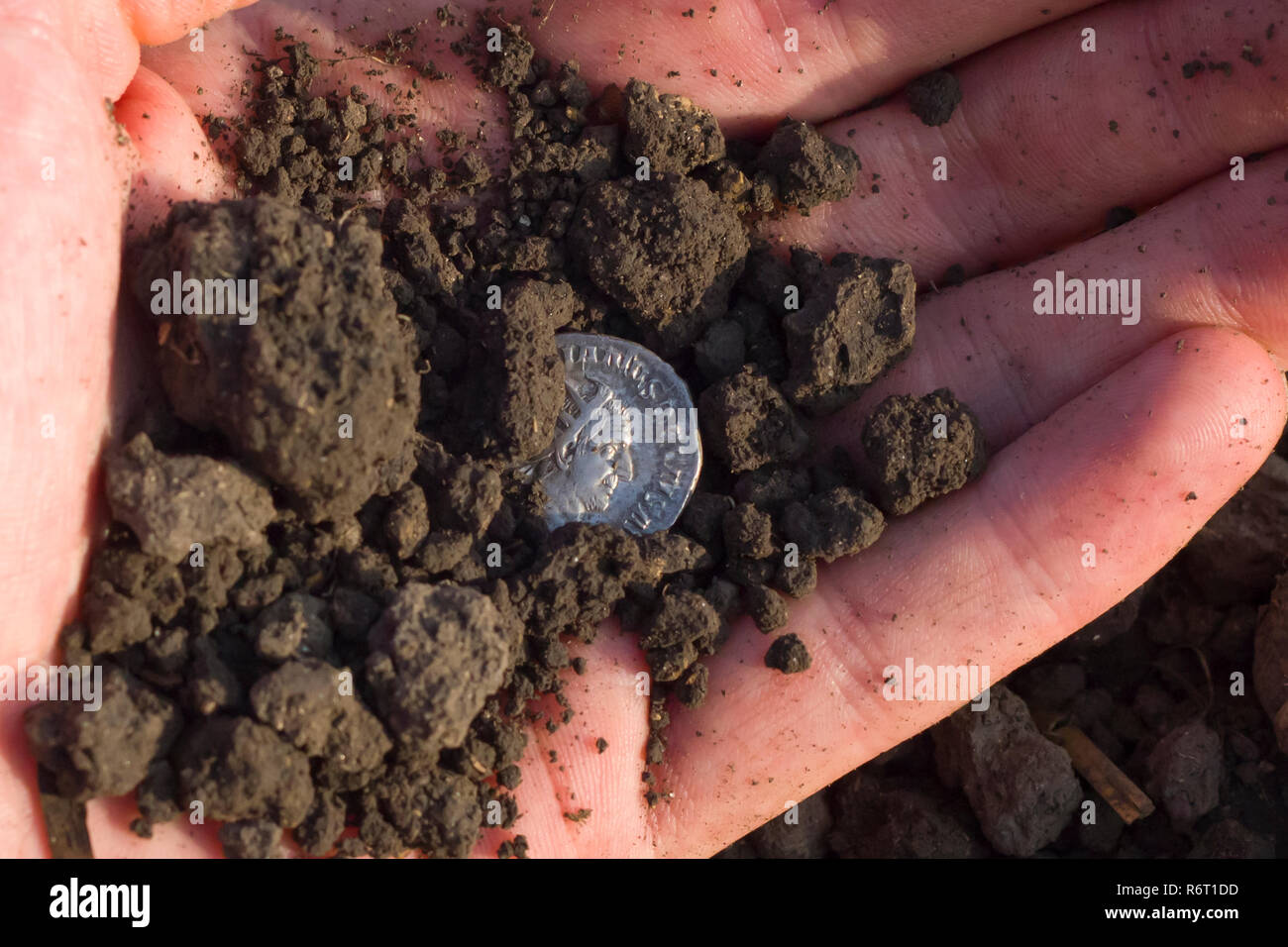 Hand holding Roman denarius (Roman silver coin Stock Photo - Alamy