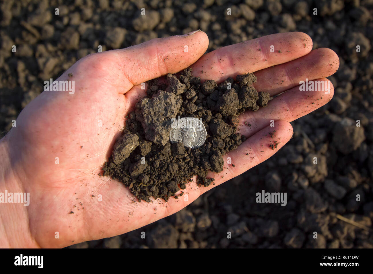 Hand holding Roman denarius (Roman silver coin Stock Photo - Alamy