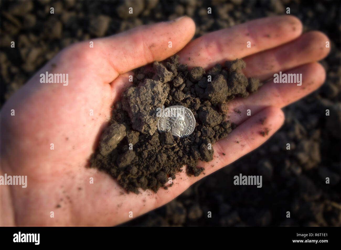 Hand holding Roman denarius (Roman silver coin Stock Photo - Alamy