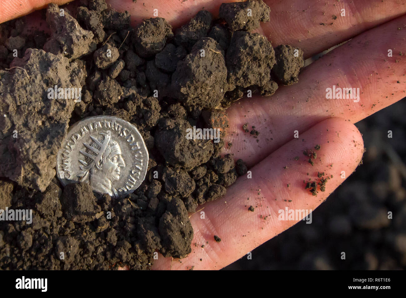 Hand holding roman denarius hi-res stock photography and images - Alamy