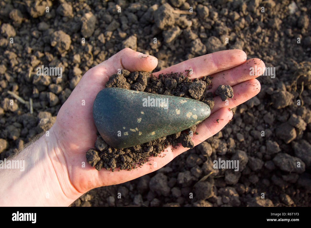 Neolithic stone axe 5000-6000 BC Stock Photo - Alamy
