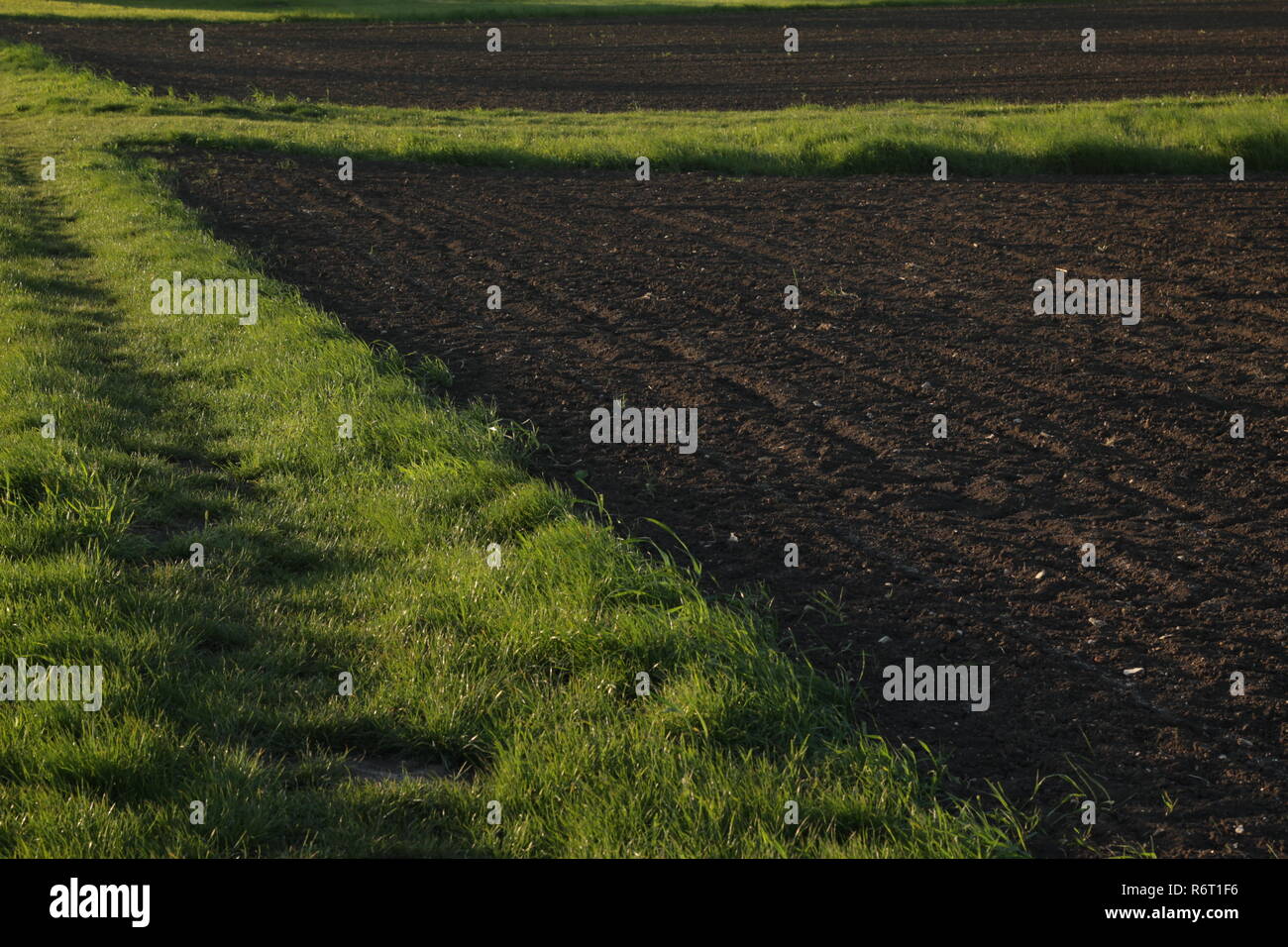 Fertile soil as basis for a functional agricultural cultivation Stock ...