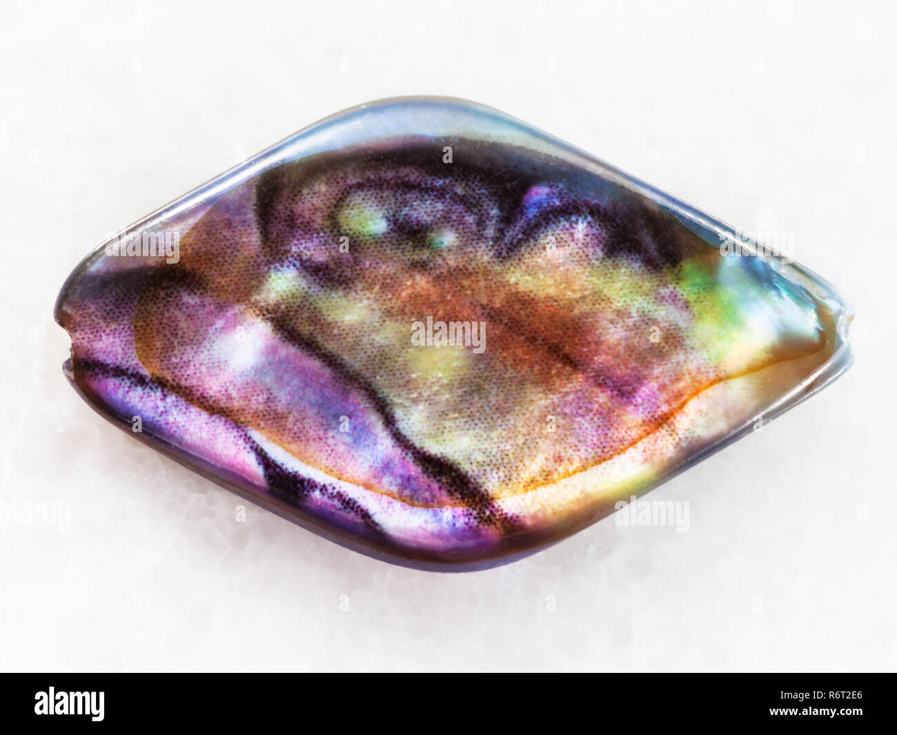 bead from Abalone (haliotis) shell on white marble Stock Photo - Alamy