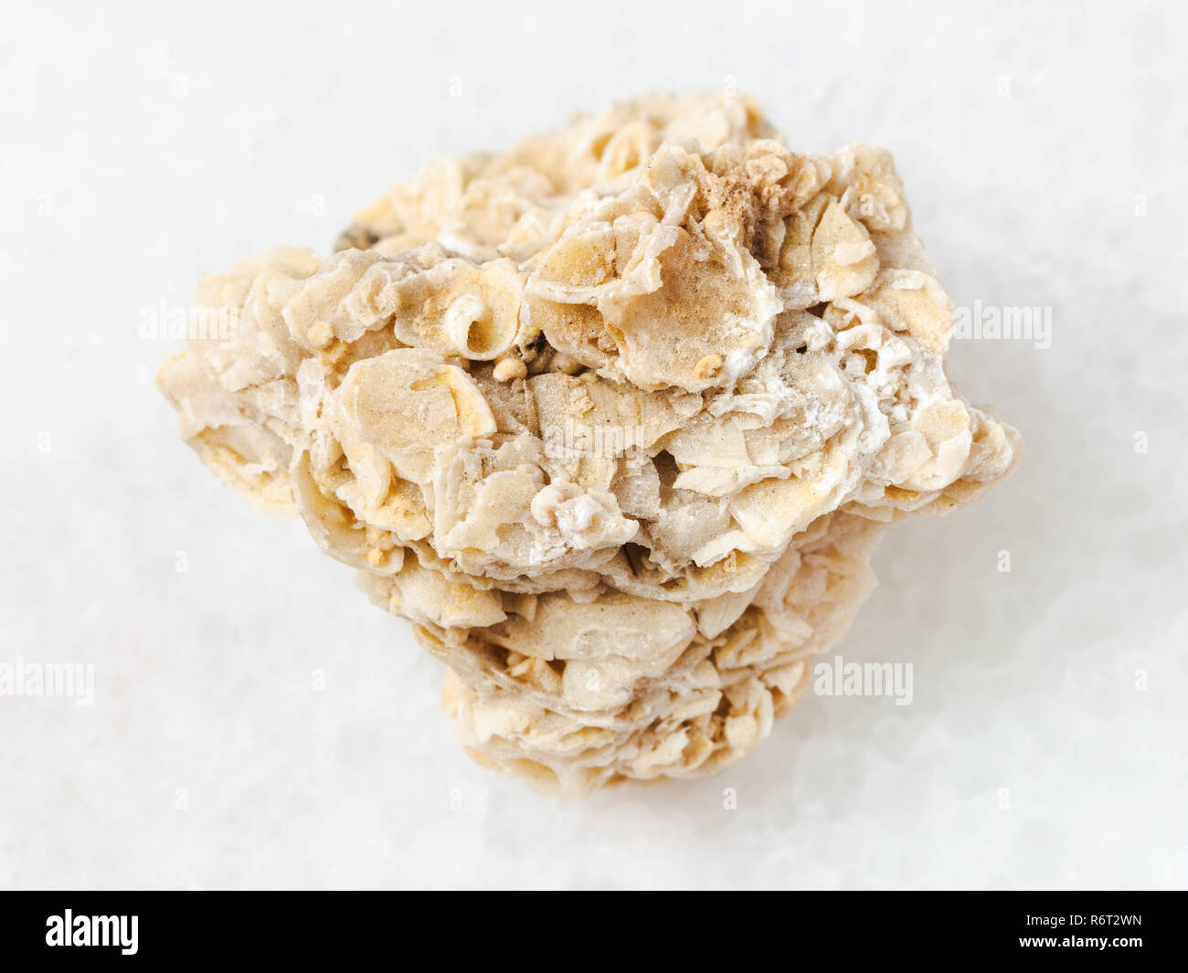 Biochemical limestone hi-res stock photography and images - Alamy
