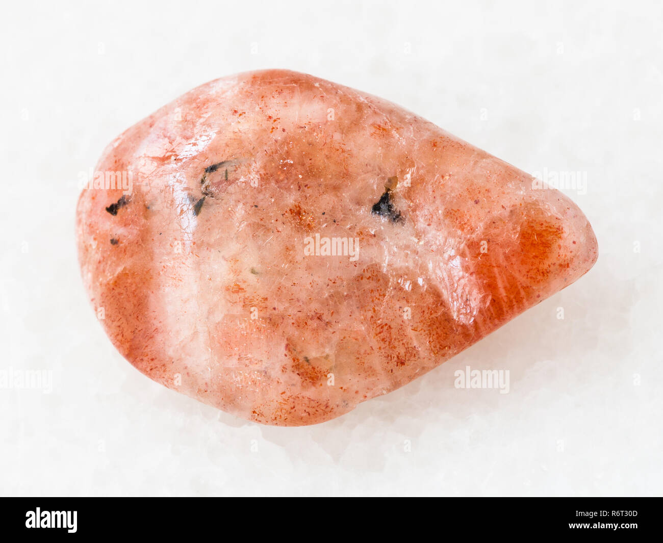 Heliolite hi-res stock photography and images - Alamy