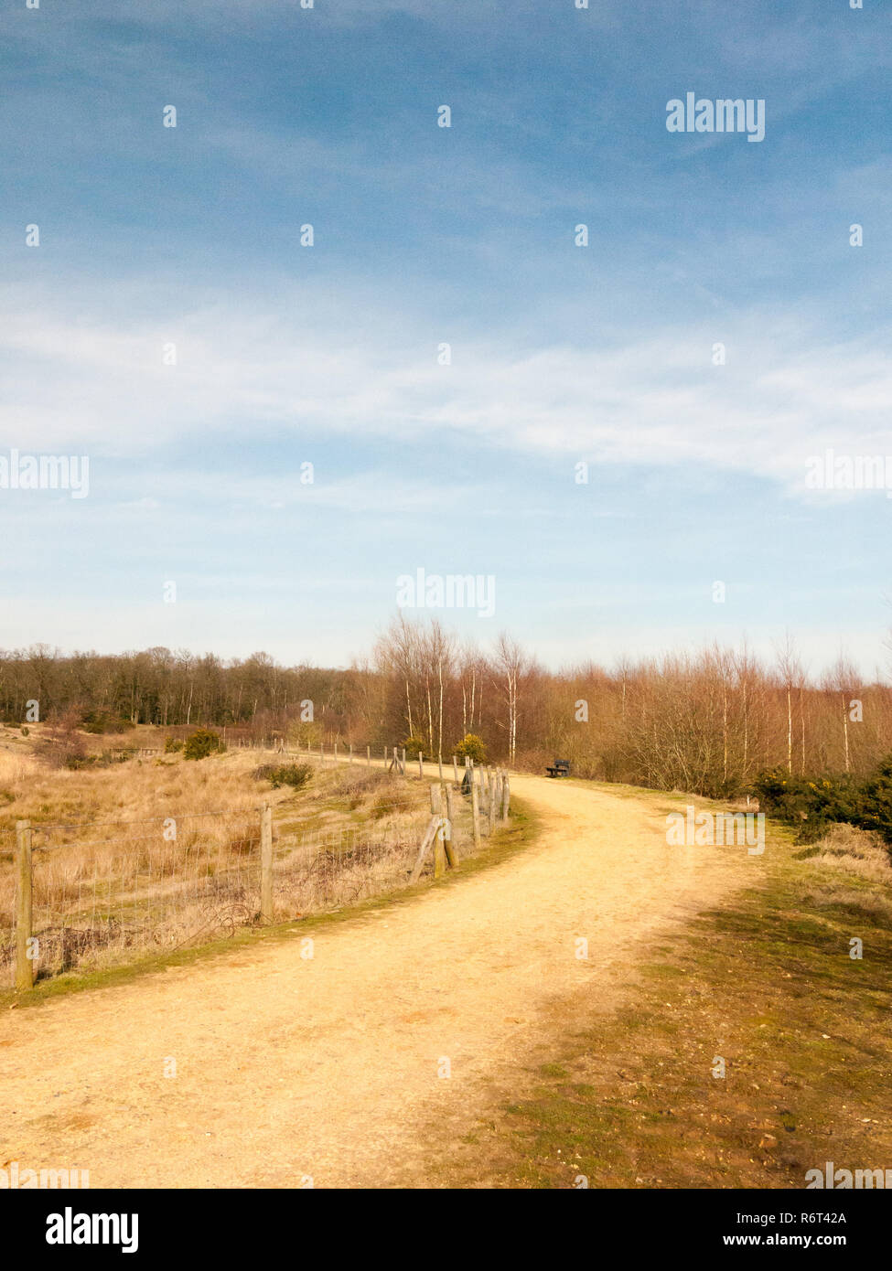 beautiful spring summer golden lake view field scene nature reserve sky ...
