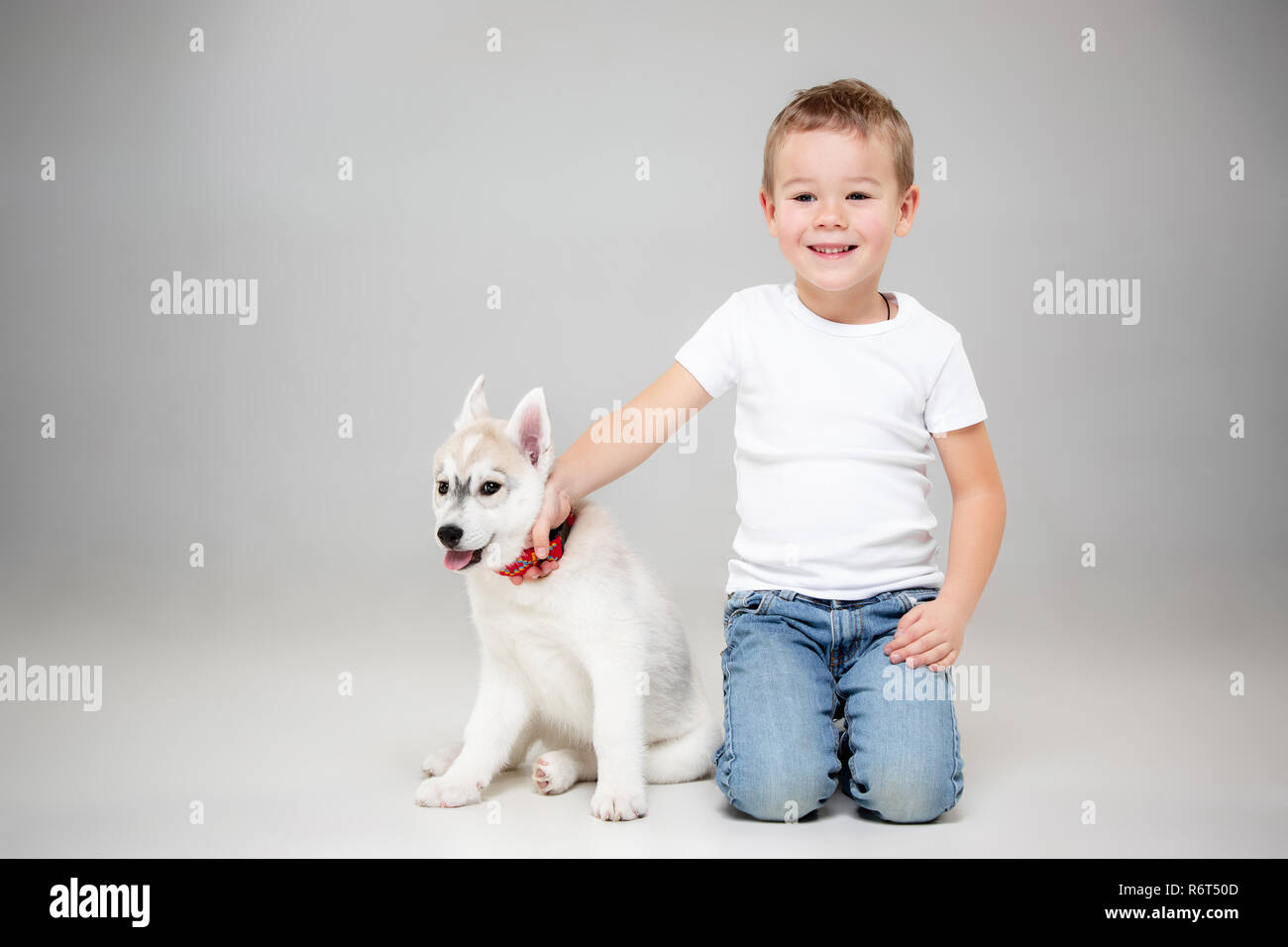 Siberian husky playing with kids hi-res stock photography and images ...