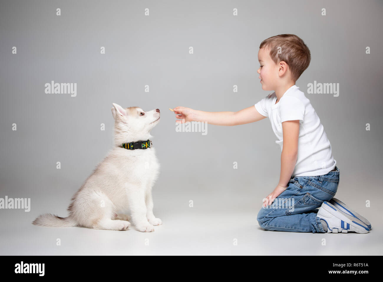 Siberian husky playing with kids hi-res stock photography and images ...