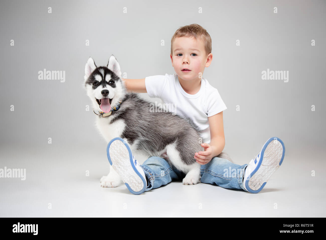 Siberian husky playing with kids hi-res stock photography and images ...