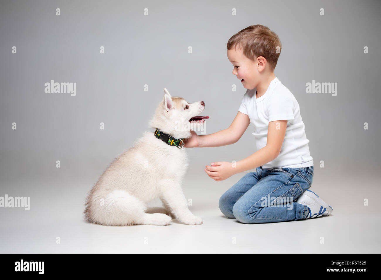 Siberian husky playing with kids hi-res stock photography and images ...