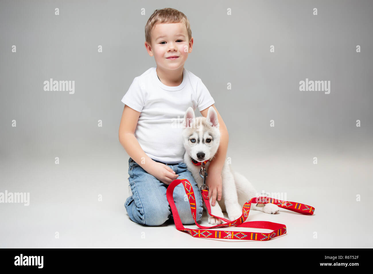 Portrait of a joyful little boy having fun with siberian husky puppy on ...