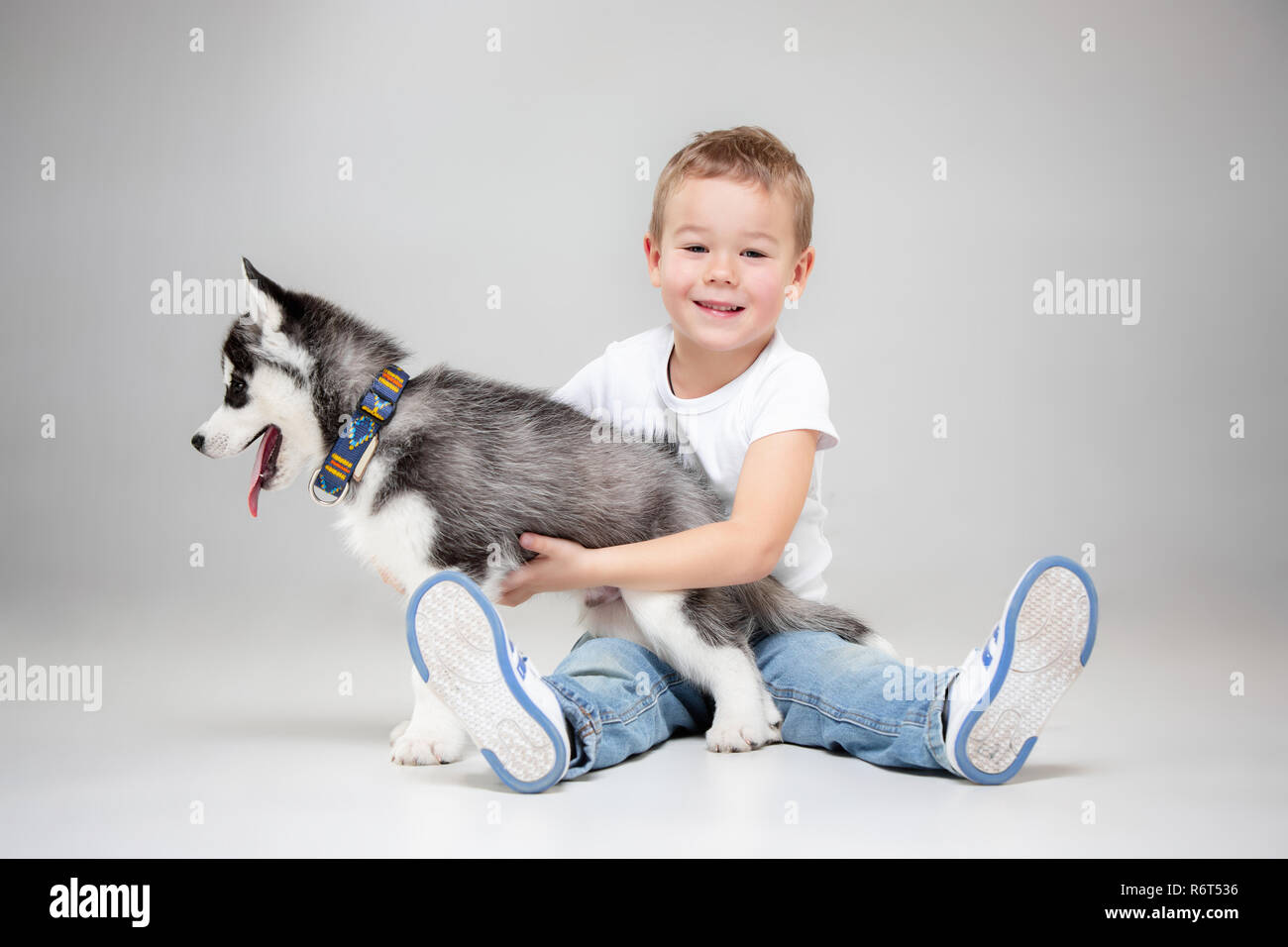 Siberian husky playing with kids hi-res stock photography and images ...