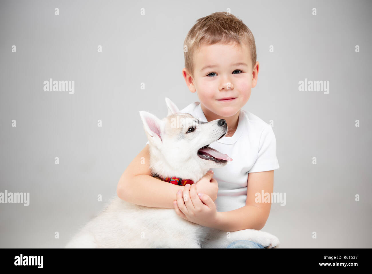Siberian husky playing with kids hi-res stock photography and images ...