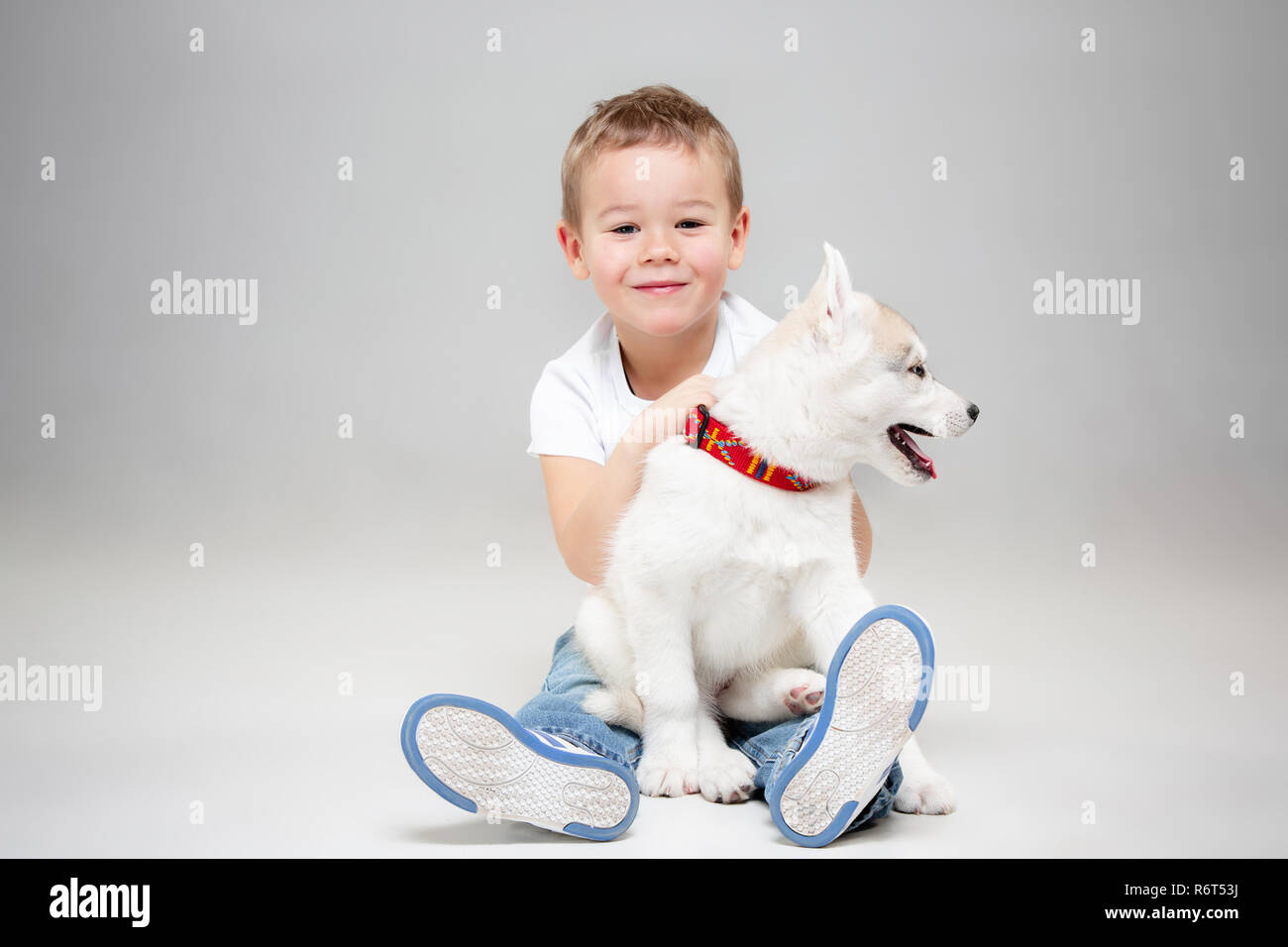 Siberian husky playing with kids hi-res stock photography and images ...
