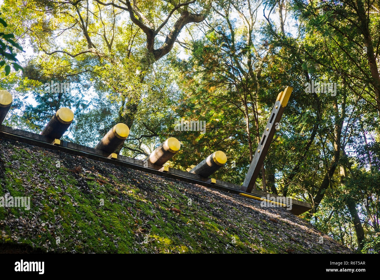 Ise Grand Shrine, Mie Prefecture, Japan: VRoof detail with Katsuogi and ...
