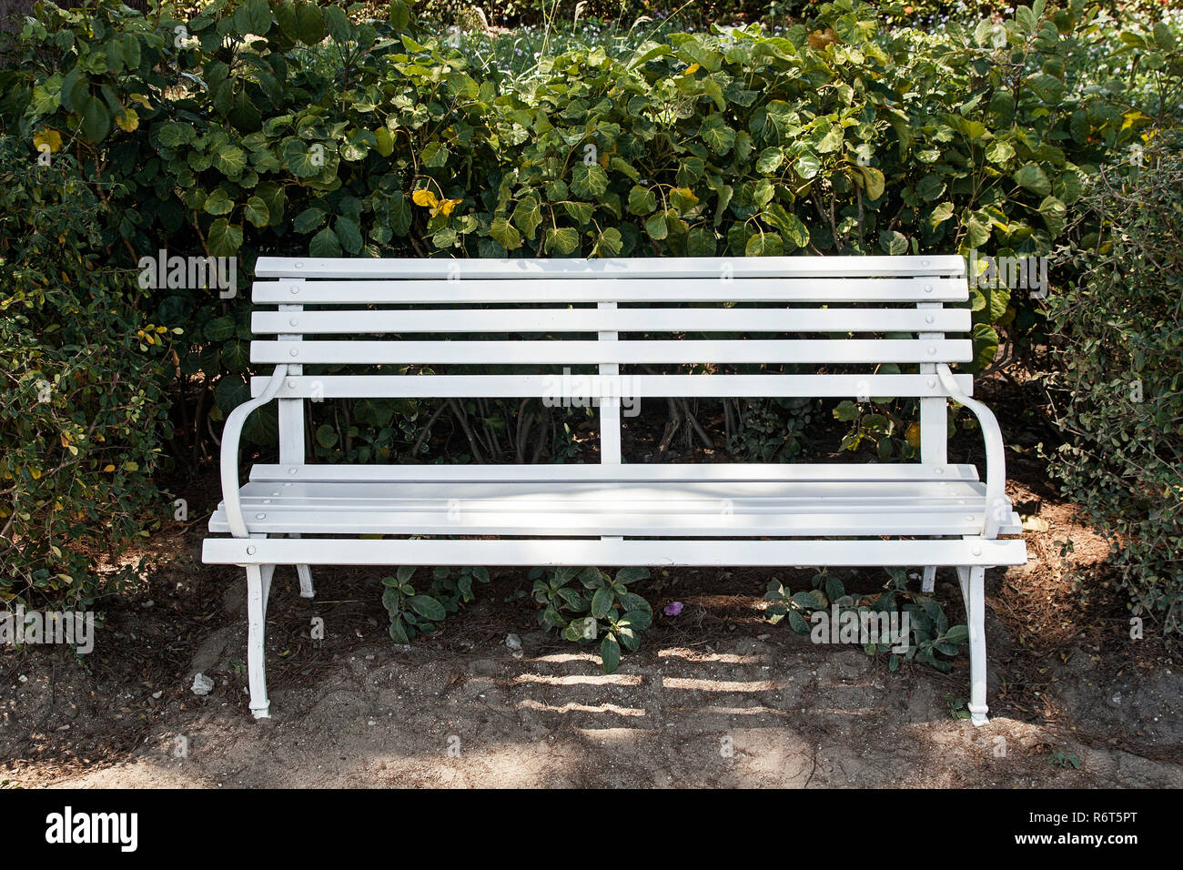 white wooden bench seat shrubs outdoor nobody park relaxation Stock ...