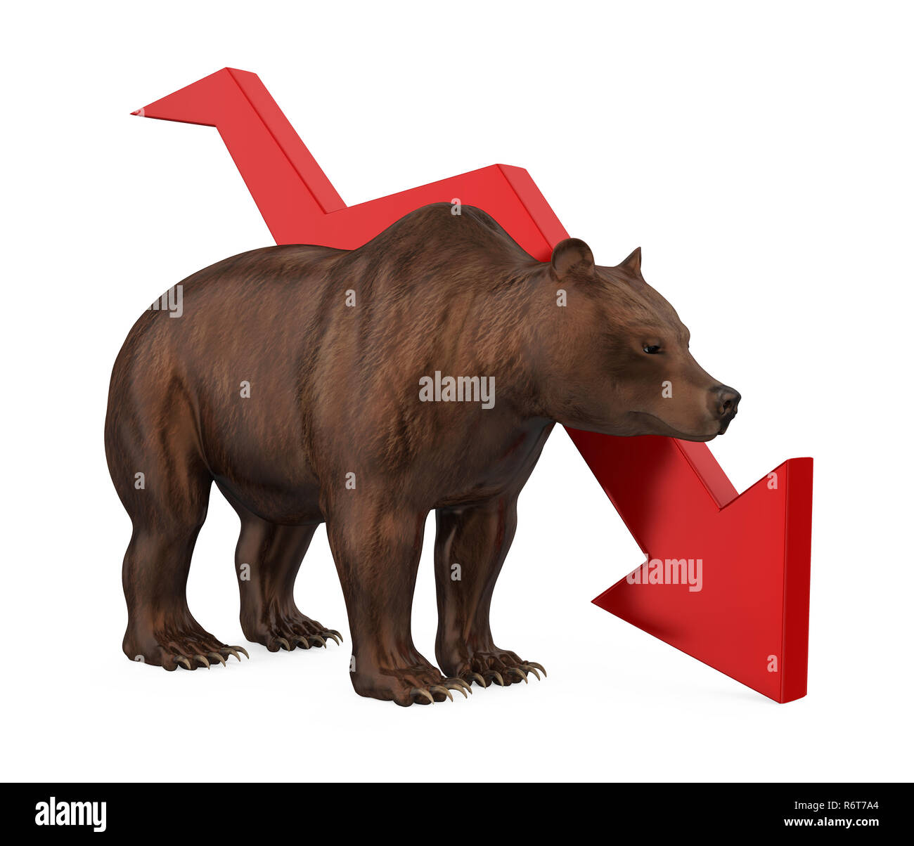 Bear with Arrow Down Isolated Stock Photo - Alamy