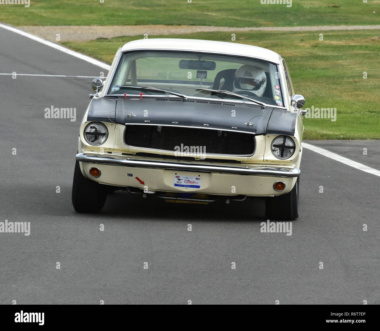 Bill Shepherd, Ford Mustang, Mustang Celebration Trophy, Pure Michigan ...