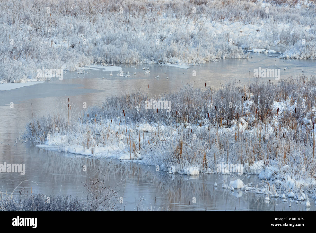 Winter river with open water, Whitefish Falls, Ontario, Canada Stock ...