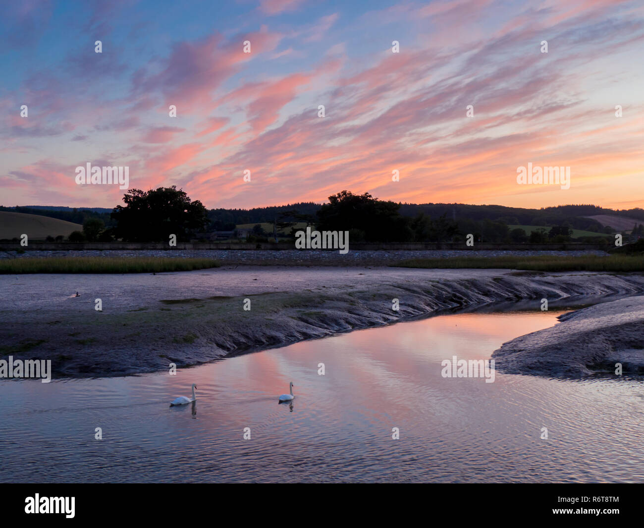 europe, uk, england, devon, Exe estuary Stock Photo - Alamy