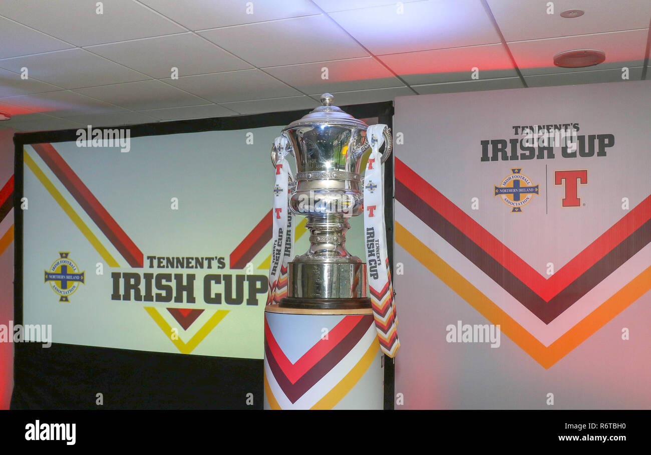Tennents irish cup draw at windsor park hi-res stock photography and ...