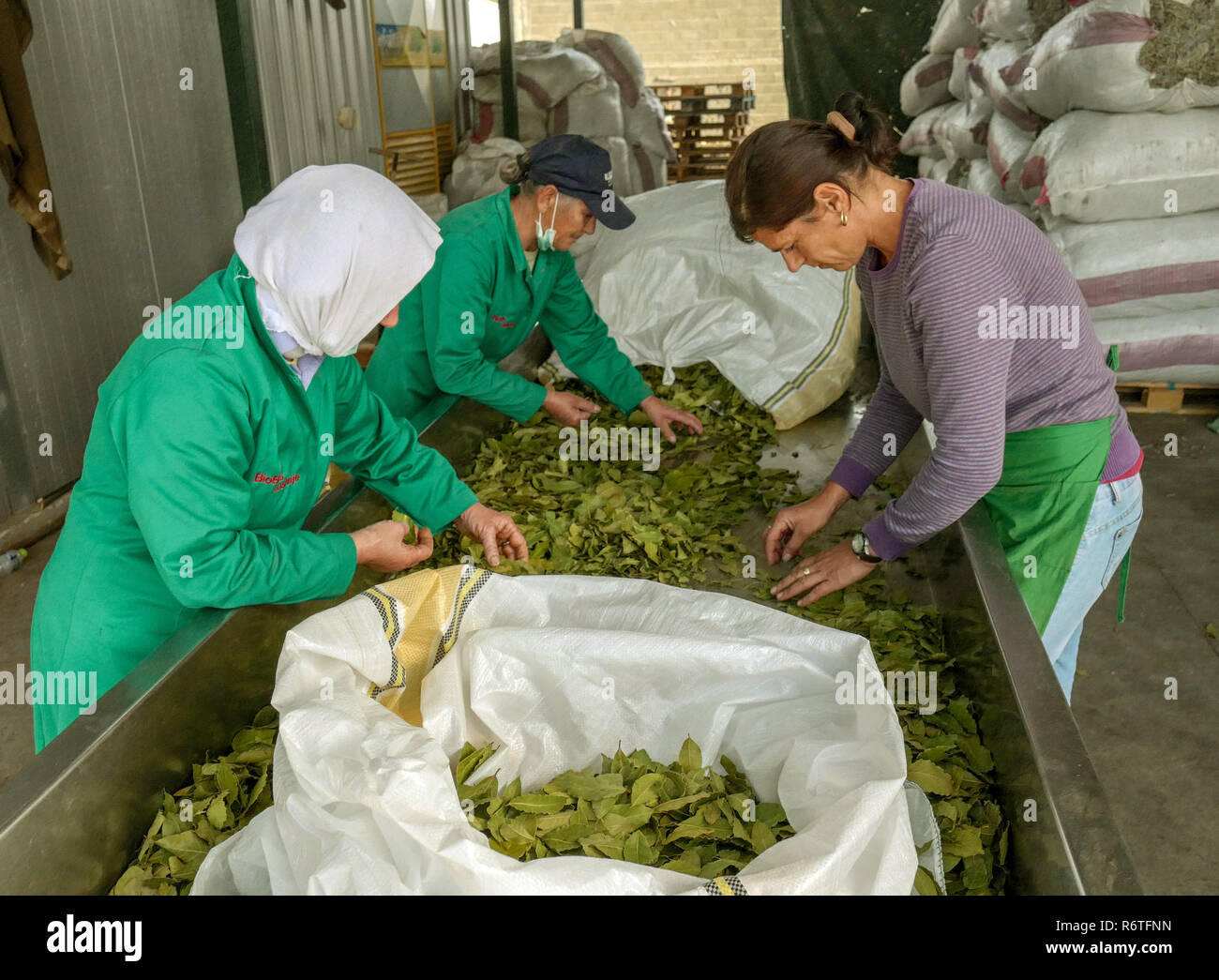 Biobes hi-res stock photography and images - Alamy