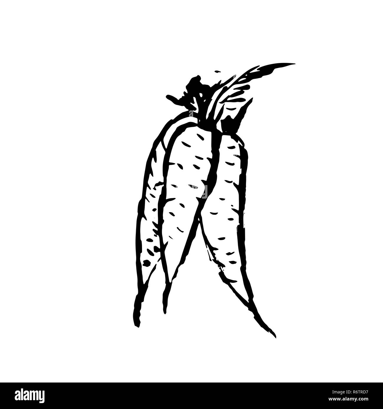 Bunch of carrots. Grunge icon. Vector illustration Stock Vector Image ...