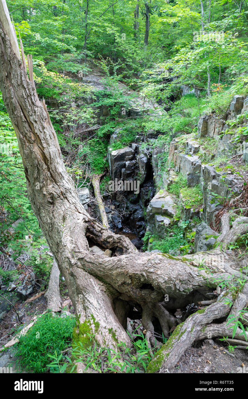 Trickling Down High Resolution Stock Photography and Images - Alamy