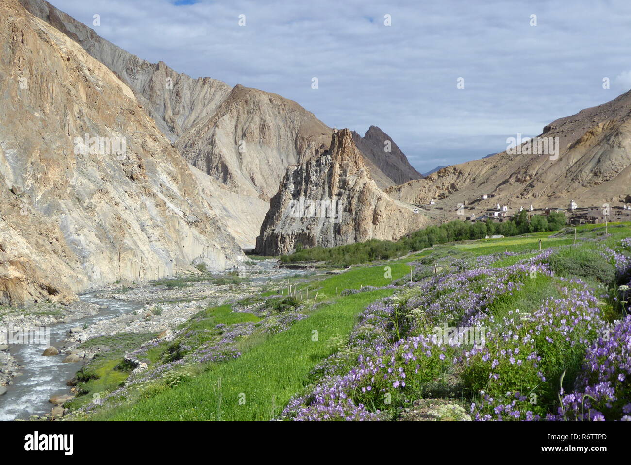Scenery and stupas along the Markha Valley trek, Ladakh Stock Photo - Alamy