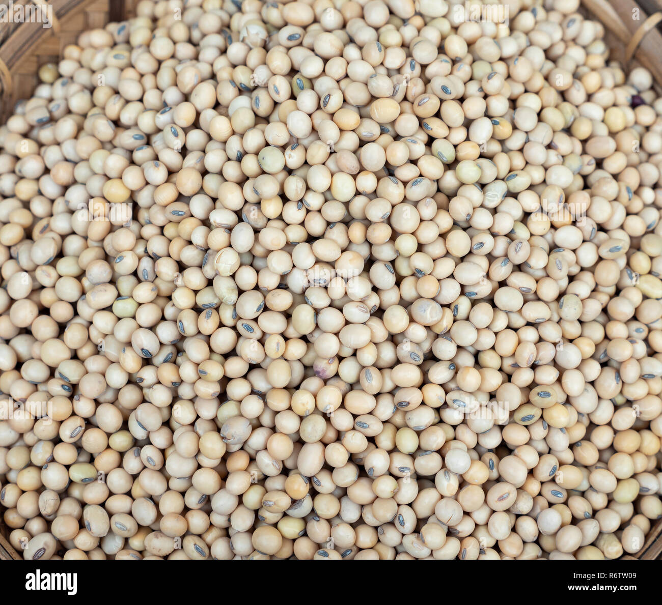 Soybean Seed Size