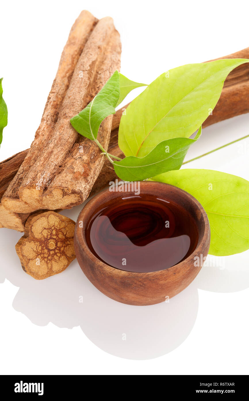 Chacruna Stock Photos & Chacruna Stock Images - Alamy