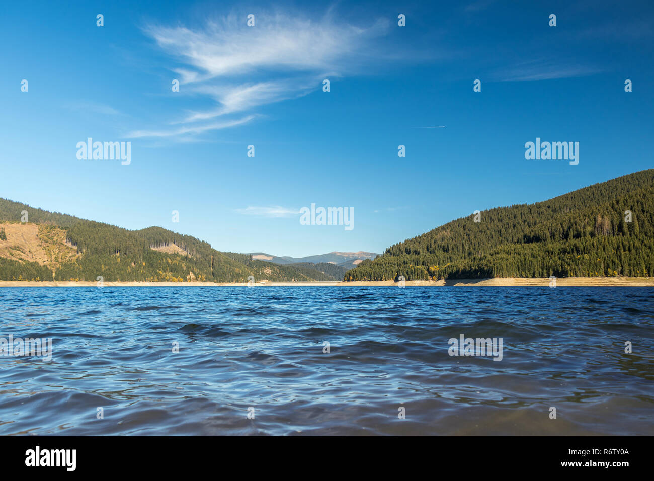 Beautiful lake view and forest scene Stock Photo - Alamy