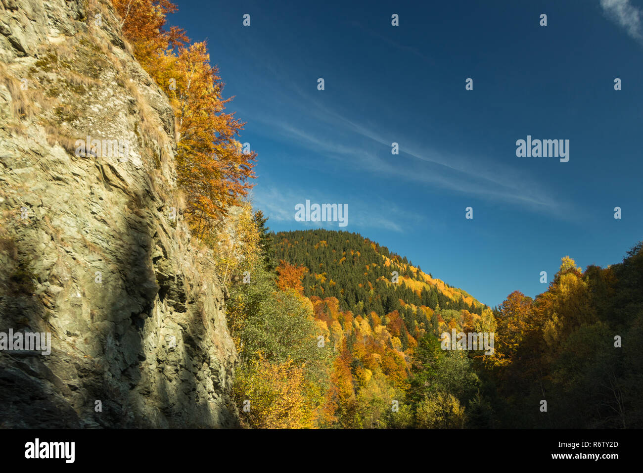 Hills rocks and forest background Stock Photo - Alamy