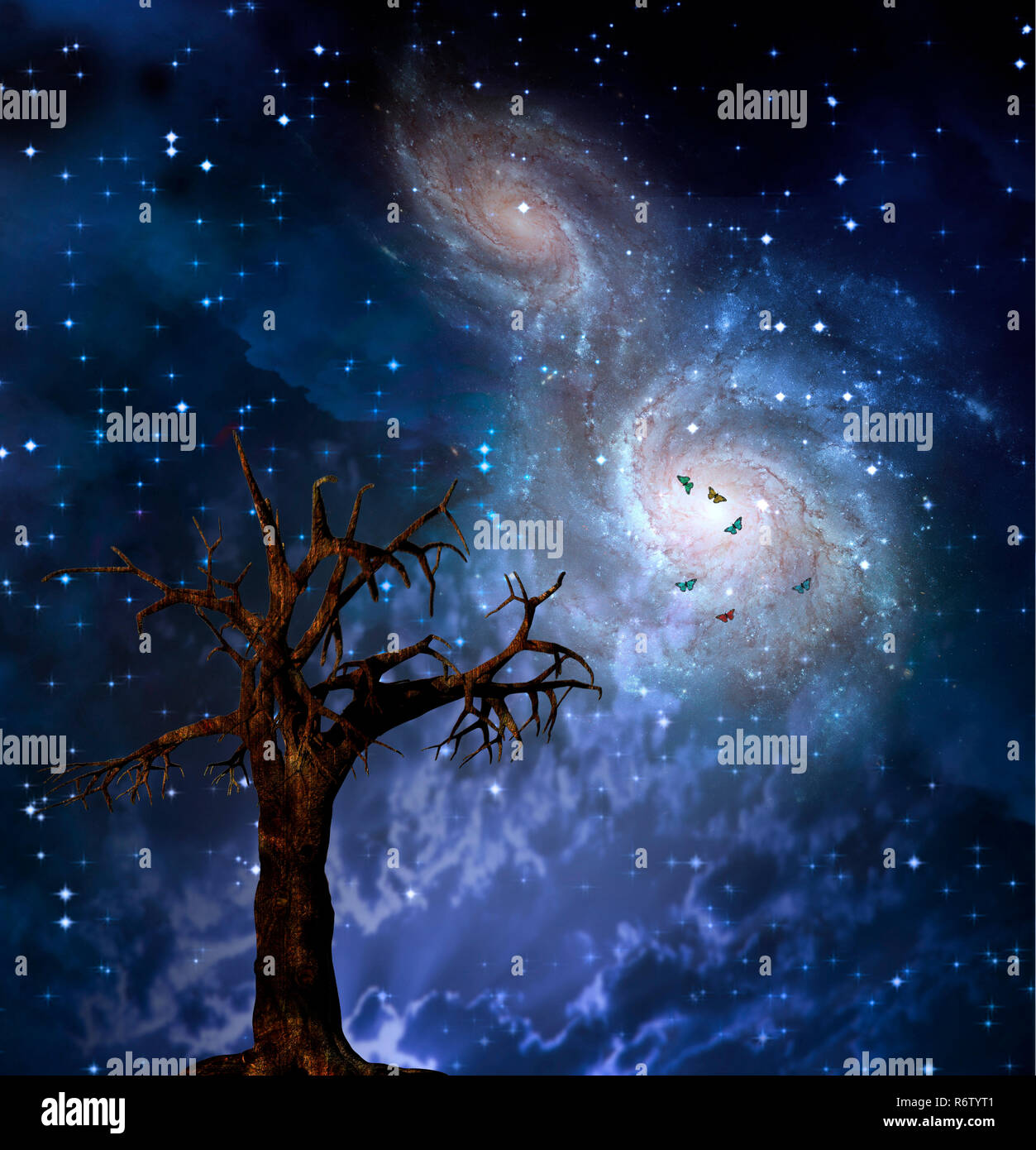Old leafless tree. Merging galaxies in the sky Stock Photo - Alamy
