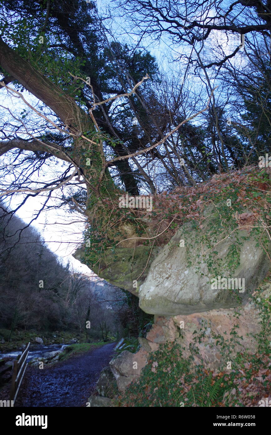 Biological weathering hi-res stock photography and images - Alamy