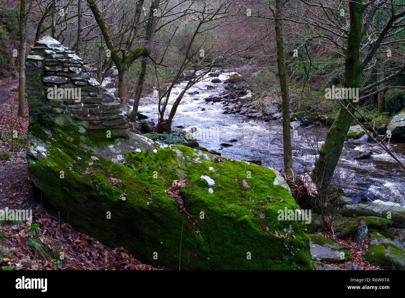 East Lyn River Flowing Through Woodland, by Stone Memorial Plaque ...
