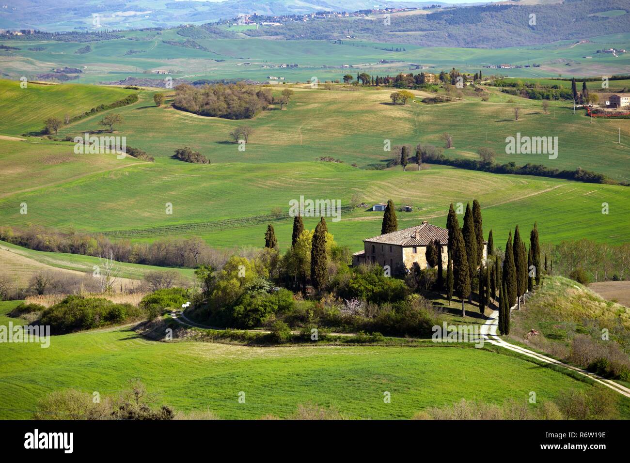typical Tuscan landscape - a view of a villa on a hill and green fields ...